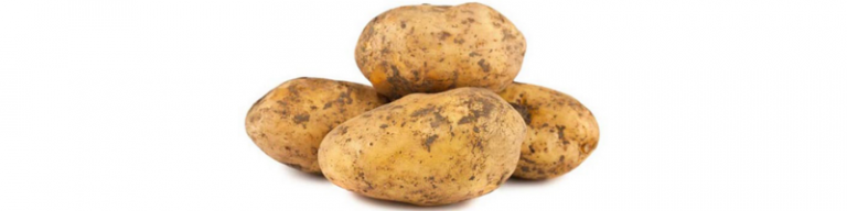 Batatas Fritas: uma ciência que parece fácil | Onelink